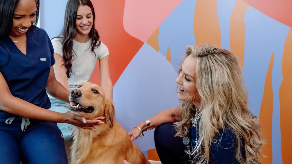 Petfolk: Modern Vet Care Made Simple | Supreme Living